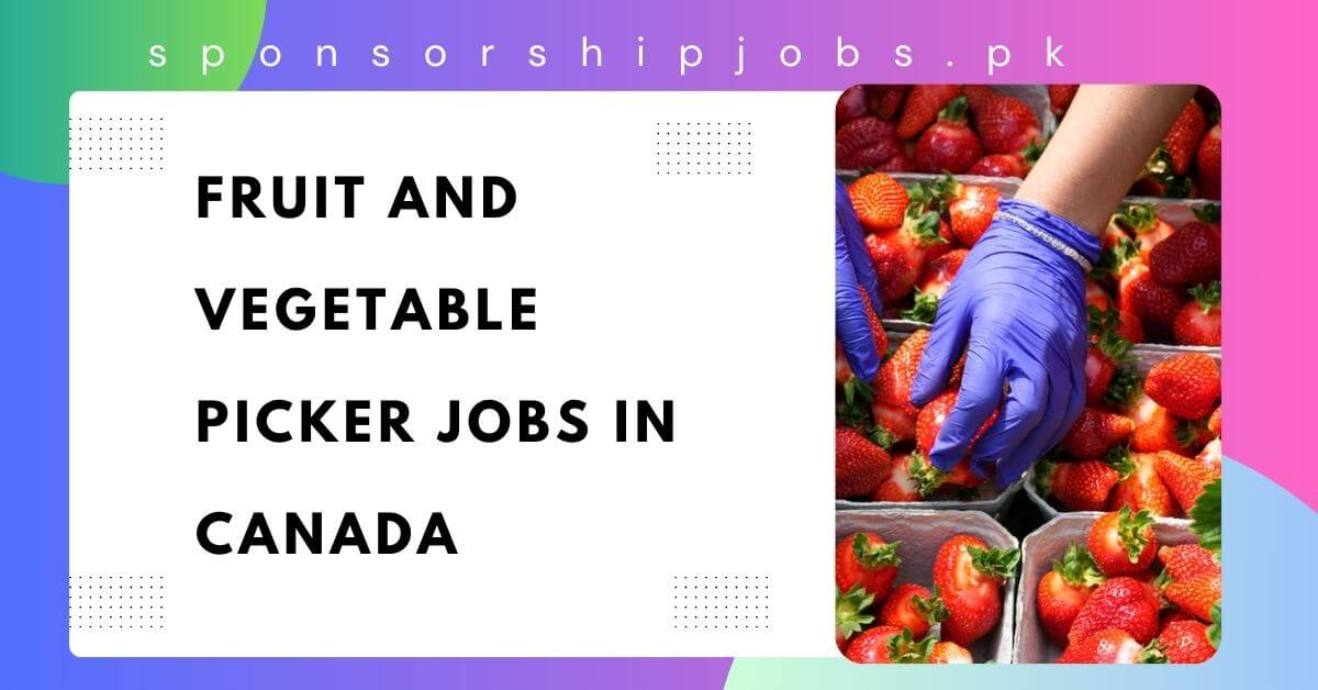 Fruit and Vegetable Picker Jobs in Canada 2025 - Apply Now